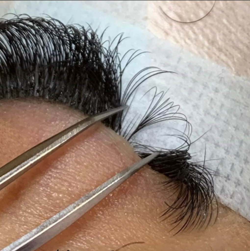 Eyelash Extension Training Online No Kit Lash Trainer By Lash Tavern